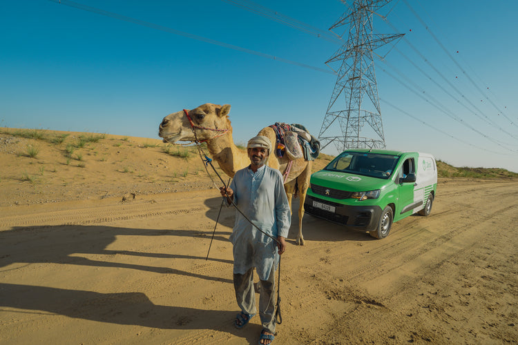 Zend - 100% Electric Deliveries